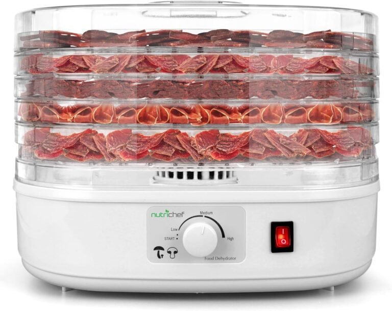 10 Best Food Dehydrators for Home Use